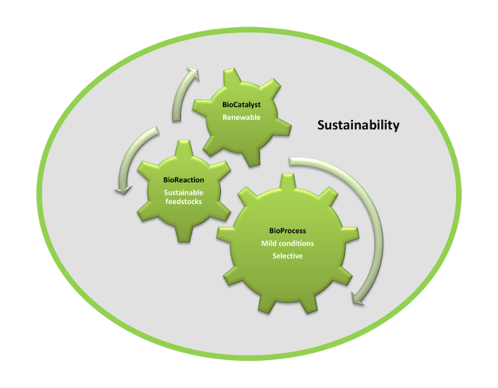 Role of biocatalysis in sustainable chemistry - SpinChem